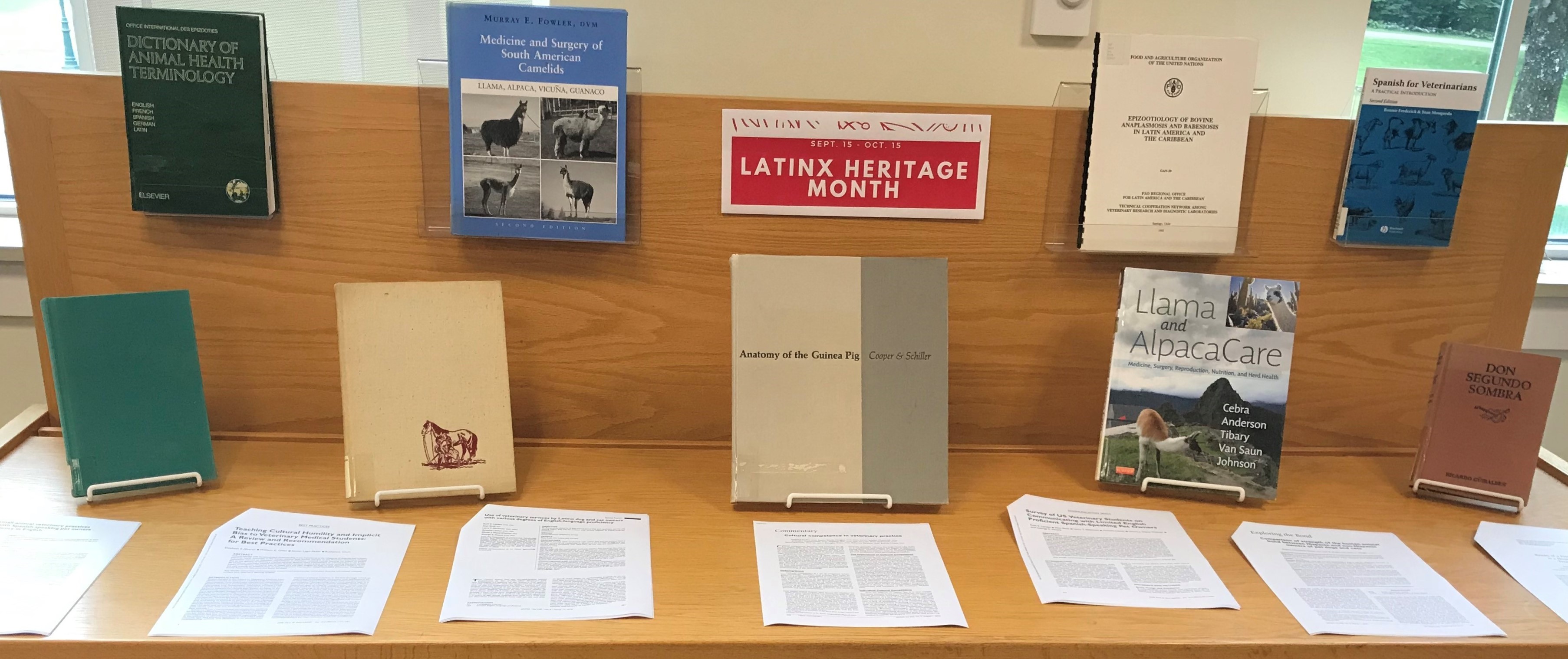 Latinx Heritage Month | Webster Family Library