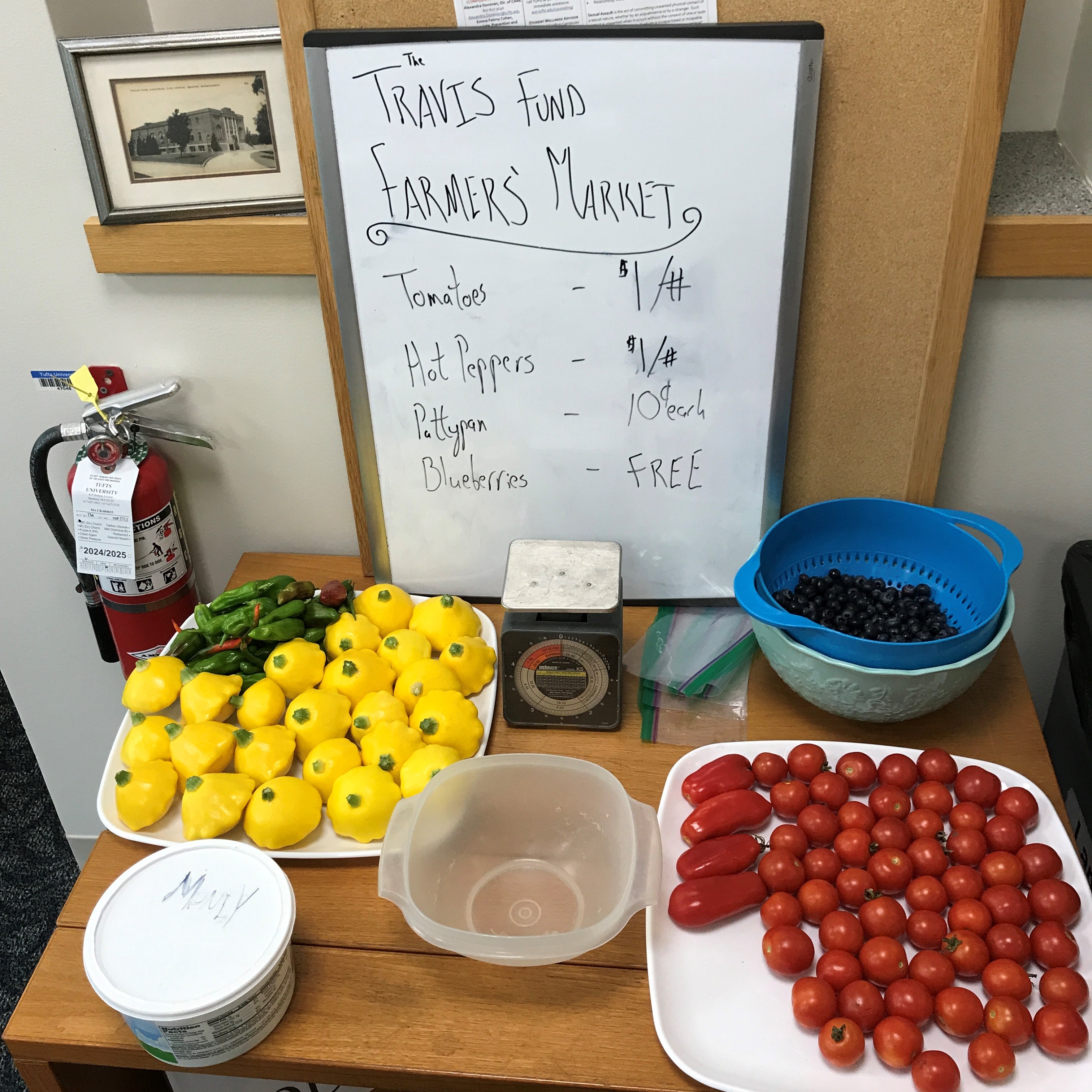 Travis Fund Farmers' Market | Webster Family Library