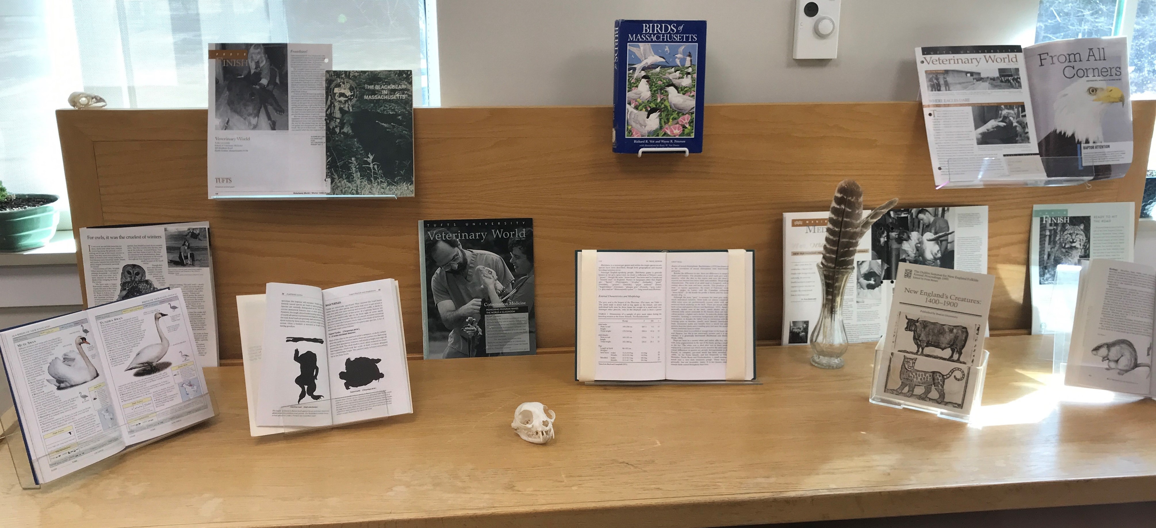 New England's Wildlife | Webster Family Library